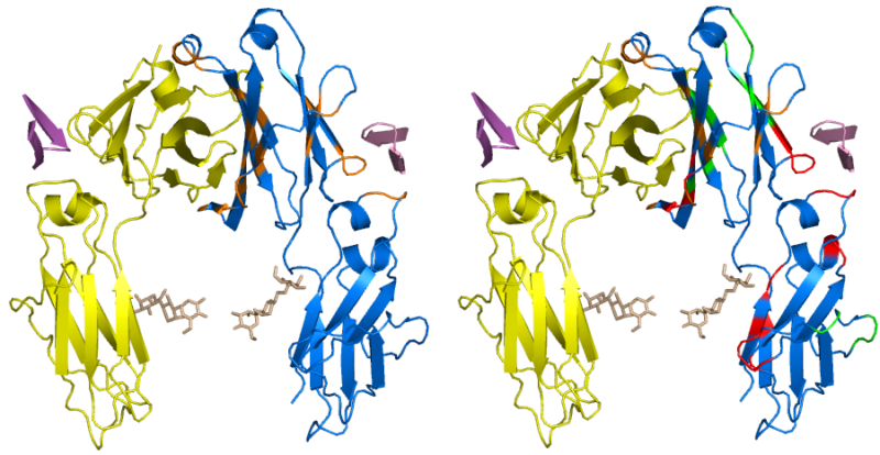 مجموعه داده‌ی PPI (Protein-Protein Interaction) - کلاس‌ویژن